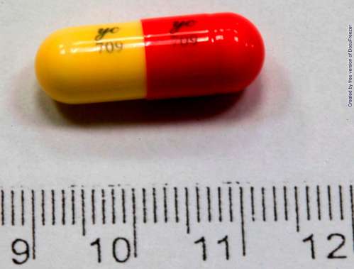 紅黴素膠囊250公絲（紅絲菌素月桂硫酸醯）的功效、成分、用法與用量