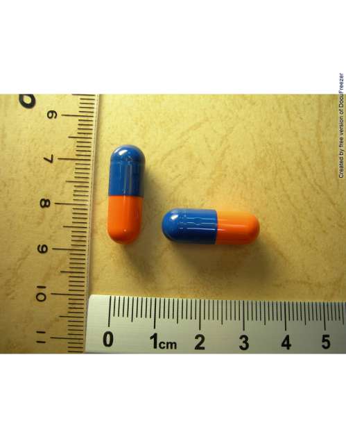 "政德" 力復膠囊500公絲的功效、成分、用法與用量