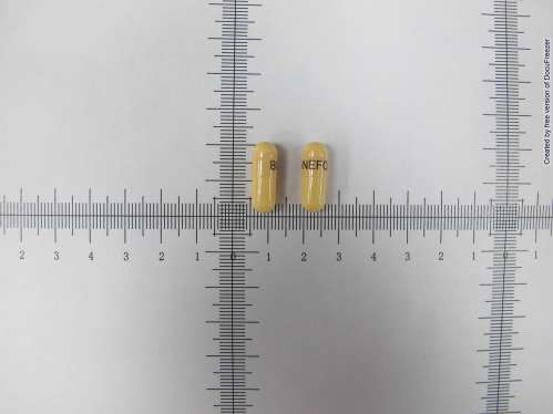 骨復舒膠囊 400 毫克的功效、成分、用法與用量