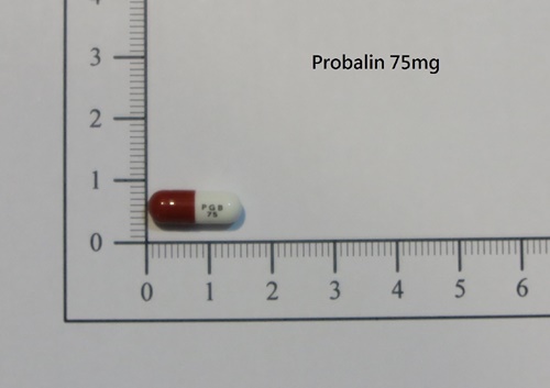 巴靈75毫克膠囊的功效、成分、用法與用量